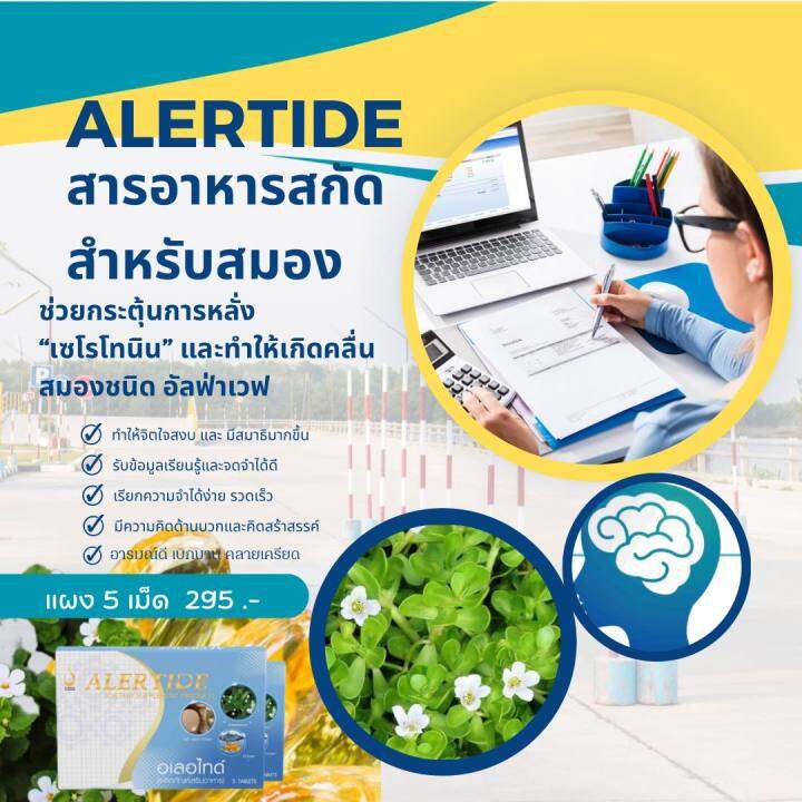 อเลอไทด์ (Alertide) สารสกัดสำหรับสมองและความจำ หลับง่ายหลับสนิท ต้านอนุมูลอิสระ อัลไซเมอร์ ลืม ...