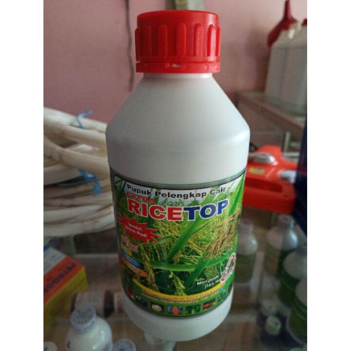 Pupuk Cair Penambah Bobot Padi dan Anti Hama Tikus Ricetop 500ml | Lazada Indonesia