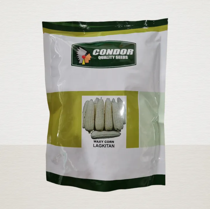 Condor Waxy Corn Lagkitan 1Kg | Lazada PH