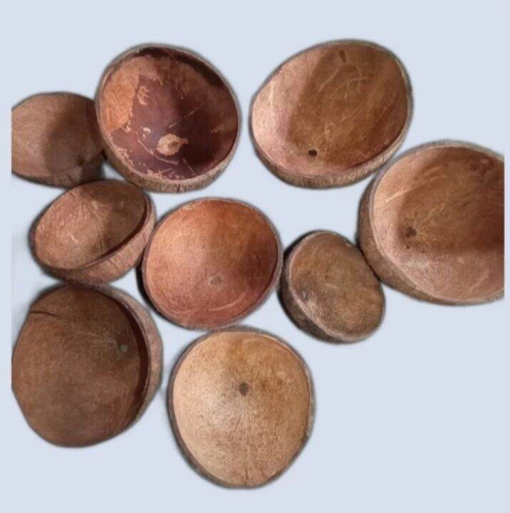 BATOK KELAPA UNTUK KERAJINAN TANGAN~BATOK KELAPA SETENGAH BULAT UNTUK ...