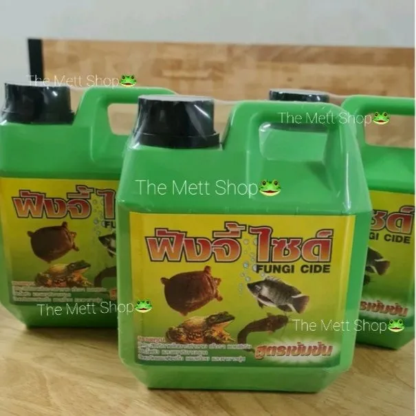 ยาฆ่าเชื้อกบ Fungi Cide ฟังจี้ ไซด์ น้ำยาฆ่าเชื้อราและโปรโตซัว สำหรับกบ ...