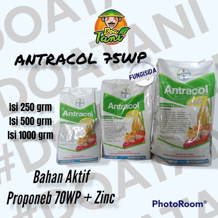 FUNGISIDA ANTRACOL 70WP ALL SIZE | Lazada Indonesia