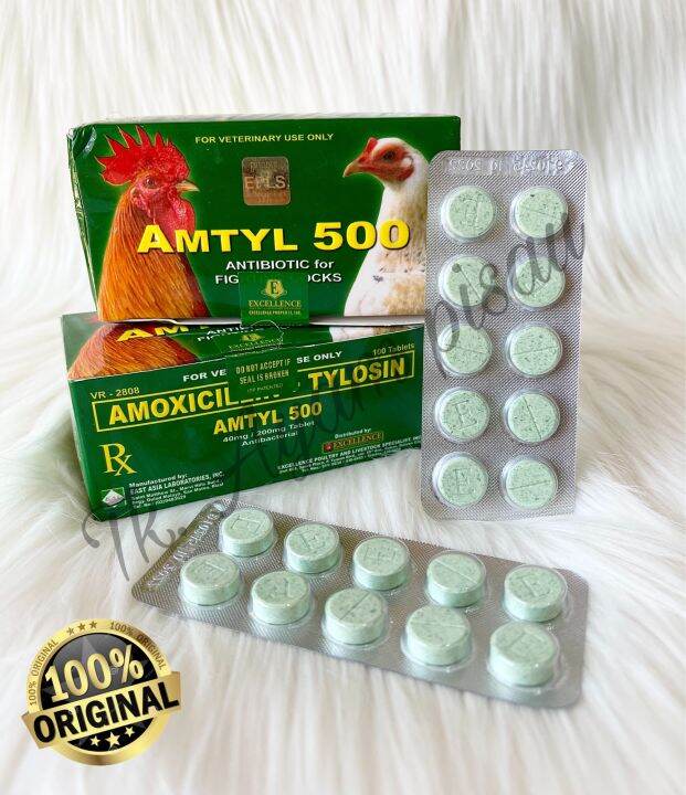 AMTYL 500 Antibiotik | Lazada Indonesia