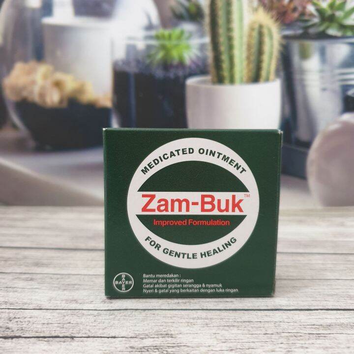 ZamBuk Medicated Ointment 25gr 8gr - Memar, Terkilir Ringan, gigitan ...