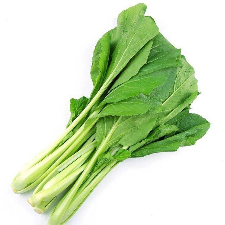 Fresh Choy Sum / 菜心 Cameron Choy Sum (500gm/pkt) Fresh Vegetables | Lazada
