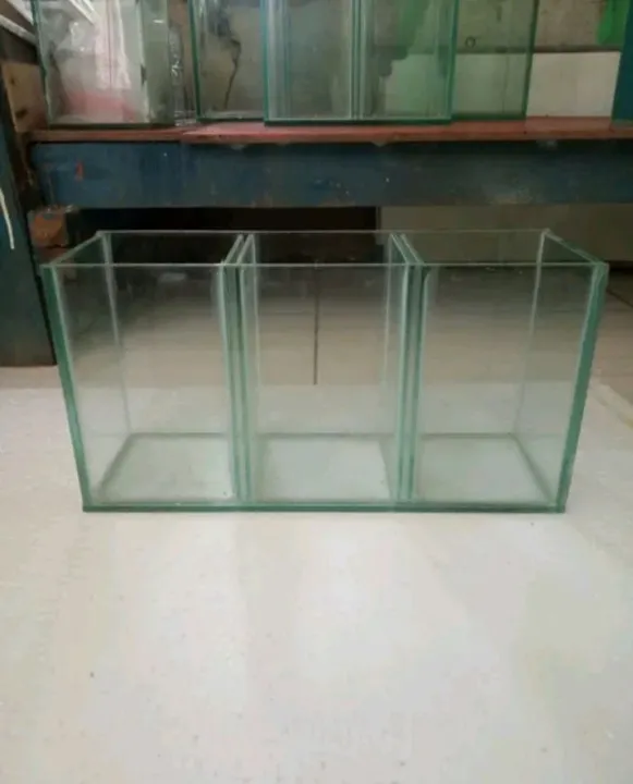 Soliter sekat 3 soliter ikan cupang aquarium mini soliter kaca 30'10'15 ...