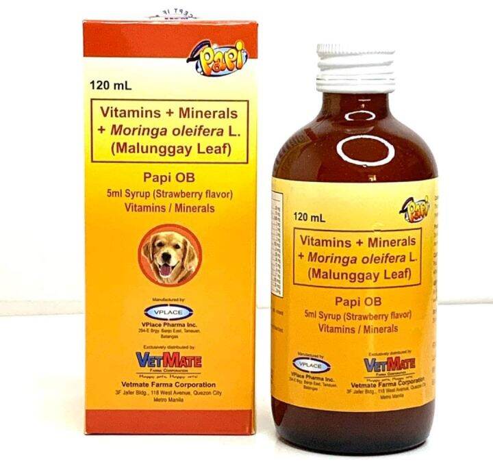 PAPI OB syrup Multivitamins + Minerals 120ml | Lazada PH