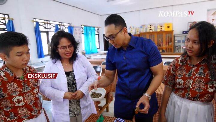 Kayu Bajakah Kalawit Asli Kalimantan 1000 gram | Lazada Indonesia