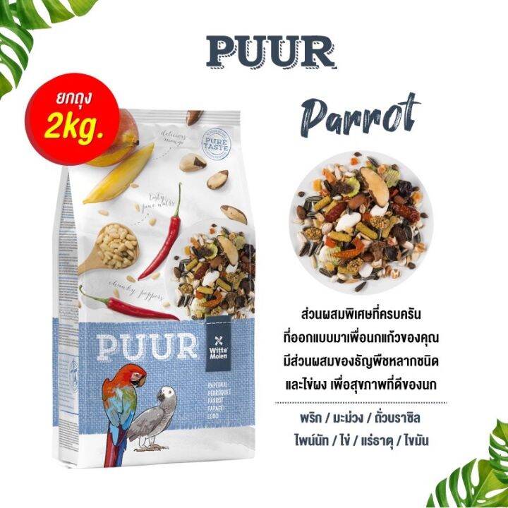 PUUR PARROT บรรจุ 2 กก. อาหารพรีเมียม (สีฟ้า) | Lazada.co.th