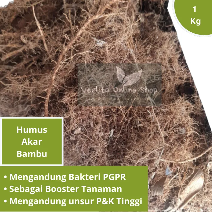 Humus Akar Bambu 1Kg Media Tanam Premium | Lazada Indonesia