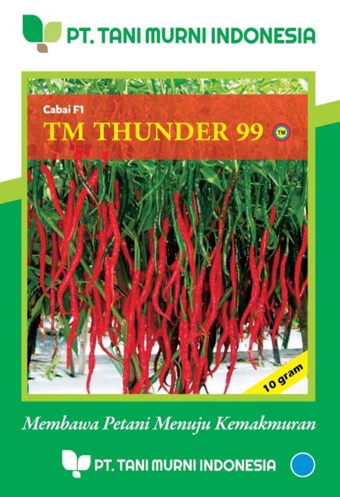TM THUNDER 99 || Benih Cabai Keriting F-1 || 10 Gram | Lazada Indonesia