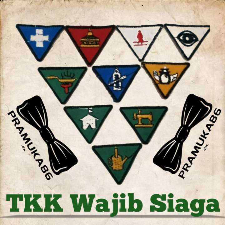 Tkk Wajib Bordir Tanda Kecakapan Siaga (Segitiga) Bordir Bijian | Lazada Indonesia