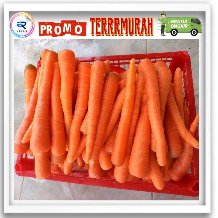 WORTEL | WORTEL FRESH 1KG FREE BONUS | Lazada Indonesia