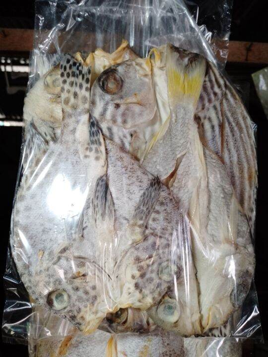 isdang bato | Lazada PH