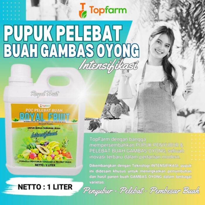 Pupuk Pelebat Buah Gambas / Pupuk Pelebat Buah Oyong / Pupuk Buat Oyong Emes / Pupuk Booster ...