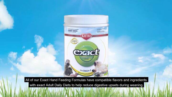 Kaytee Exact Hand Feeding Formula Baby Parrot Bird Food Feed 510G | Lazada