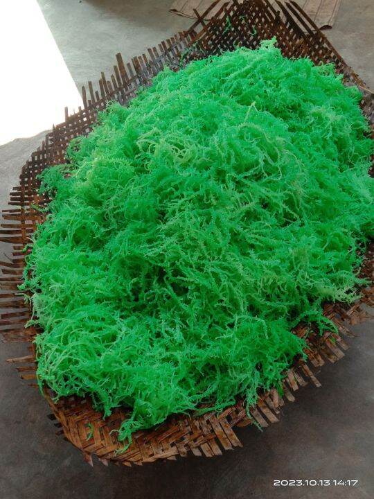 RUMPUT LAUT FRESH~RUMPUT LAUT HIJAU~500 GRAM | Lazada Indonesia