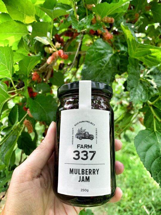 Organic Mulberry Jam 250g (1 bottle) | Lazada PH