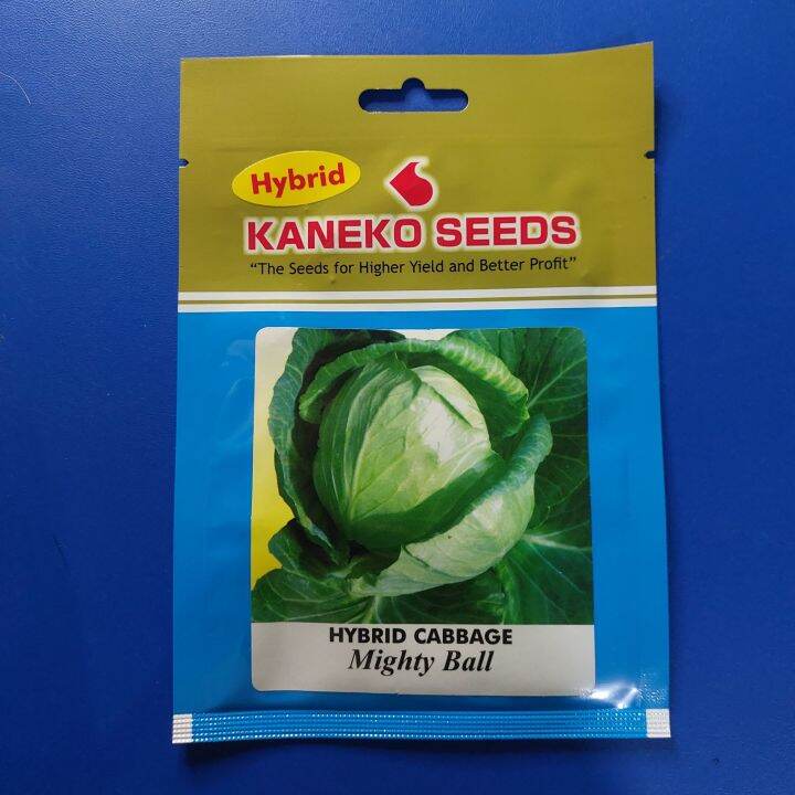 Mighty Ball (1 gram) Hybrid Cabbage / Repolyo by Kaneko Seeds | Lazada PH