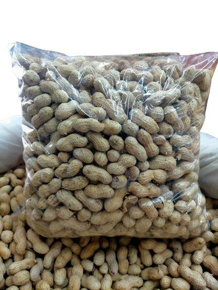 Garlic Peanut Per Kilo | Lazada PH
