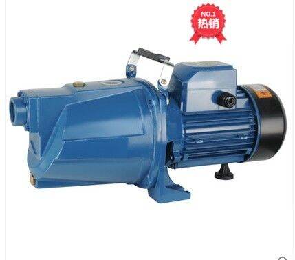 Dayuan Water Pump Jet Jet Pump Self-Priming Pump Booster Pump Big Head ...