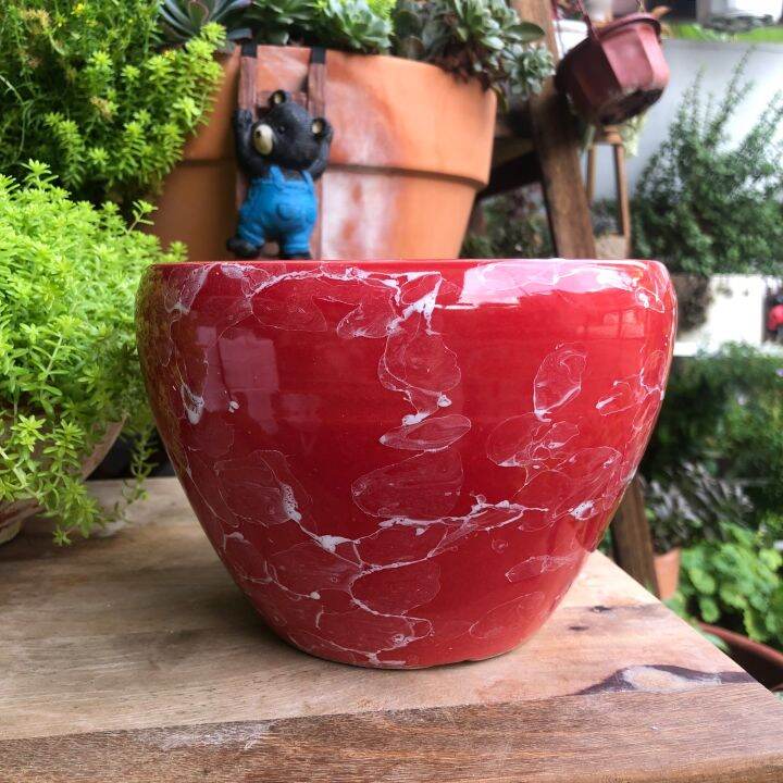 (READY STOCK) Small Crystal Pattern Red Ceramic Succulent Flower Plant ...