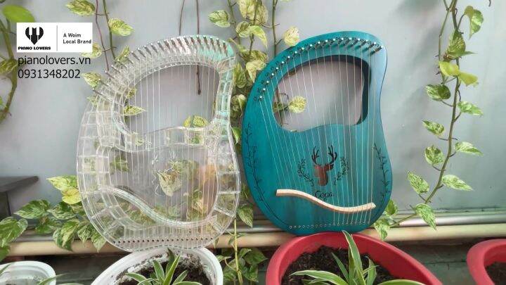 [Hình Thật] Đàn Lyre Harp Cega 16,19,21 Dây Chính Hãng Đủ Mẫu Bảo Hành ...