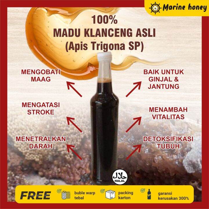 Madu klanceng murni /Madu Lebah Trigona/Kelulut,Madu Asam lambung/Madu ...