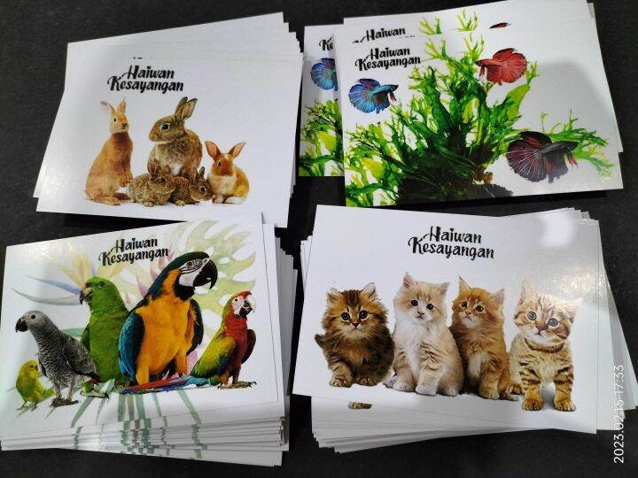 poskad Haiwan Kesayangan 4 keping | Lazada