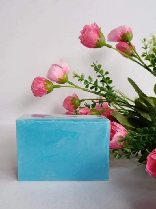 ANTIBAC SOAP BAR (135 GRAMS) kills bacteria, leaves your skin refresh ...