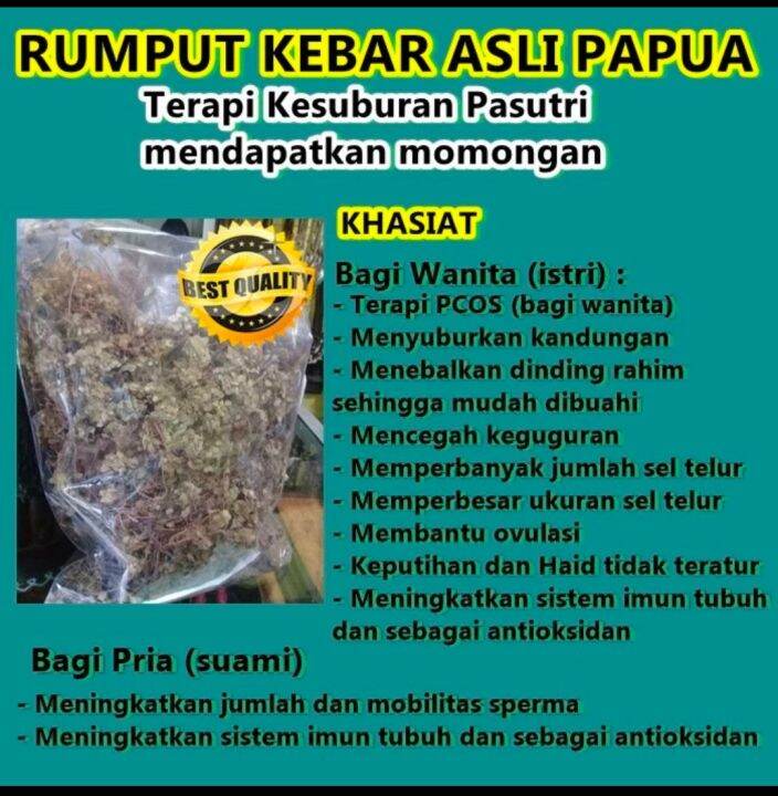 Rumput Daun Kebar Papua | Lazada Indonesia