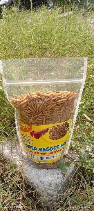 DRIED MAGOT SUPER KERING BSF 150GRAM KANDUNGAN PROTEIN HINGGA 40-44% ...