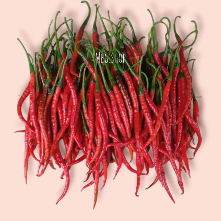 CABE/CABAI MERAH KERITING 1KG | Lazada Indonesia