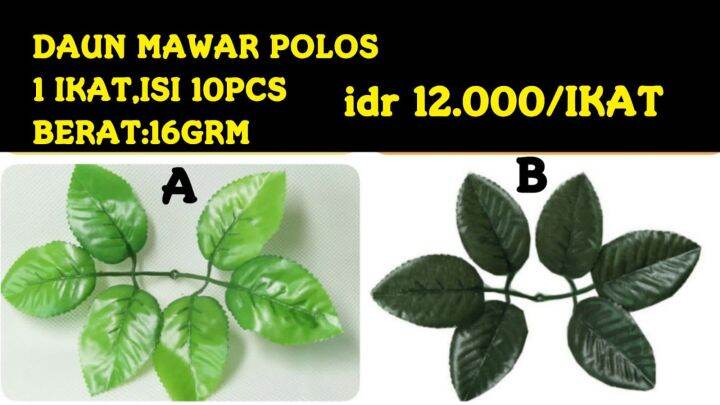 daun mawar polos 10 pcs | Lazada Indonesia