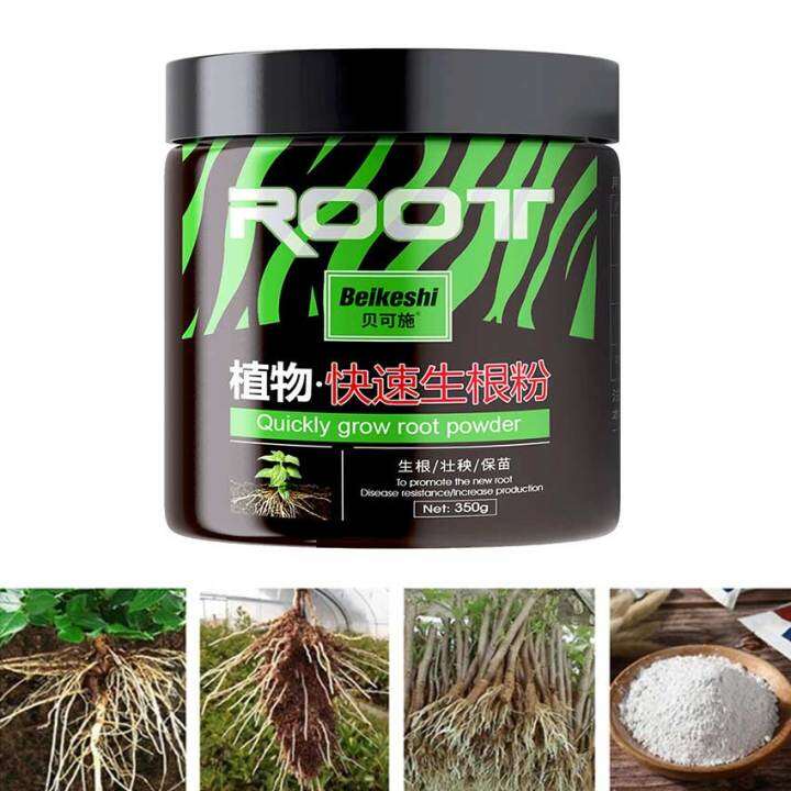350G Penumbuh Akar Tanaman Root Booster Hormon Perangsang Akar Root Up ...