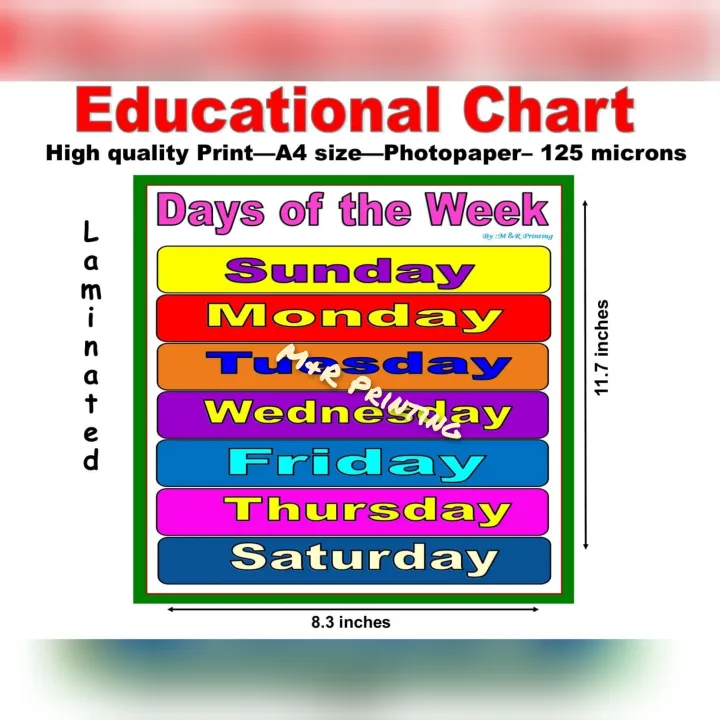 Days of the Week laminated charts | Lazada PH