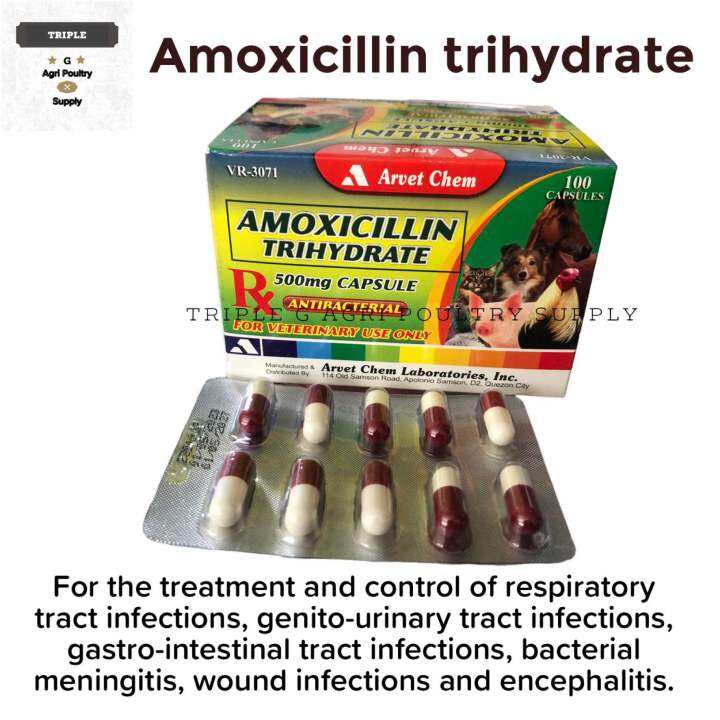Amoxicillin trihydrate 500mg 1box(100 capsules) | Lazada PH