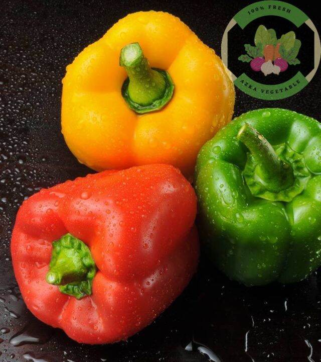 CABE PAPRIKA 100% FRESH / WARNA RANDOM( MERAH, KUNING, HIJAU) GRADE A ...