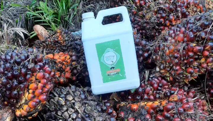 BAJA SAWIT TERBAIK POWER GRO ORGANIK | Lazada