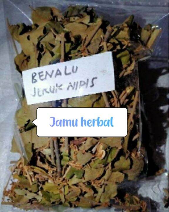 Benalu Jeruk Nipis kering Organik 250 gram | Lazada Indonesia Benalu Jeruk Nipis kering Organik 250 gram | Lazada Indonesia