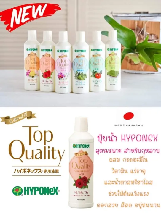 🌹ปุ๋ยน้ำญี่ปุ่น HYPONEX TOP QUALITY สูตรพิเศษเฉพาะ สำหรับกุหลาบทุกสาย ...