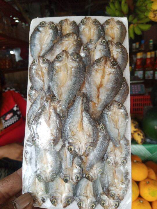 Ayungin 1pack ( Unsalted fish ) | Lazada PH