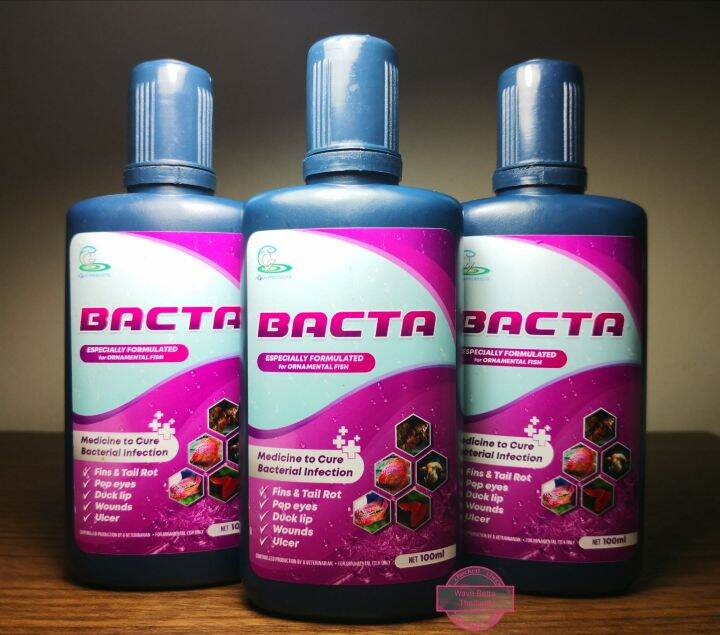 BACTA 100 Ml. รักษาอาการติดเชื้อแบคทีเรีย ในปลาสวยงาม ปากบวม ตาโปน ครีบ ...