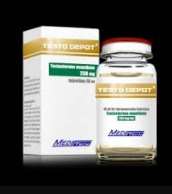 MEDI TECH TEST 250 INTRA MUSCLE OIL | Lazada PH