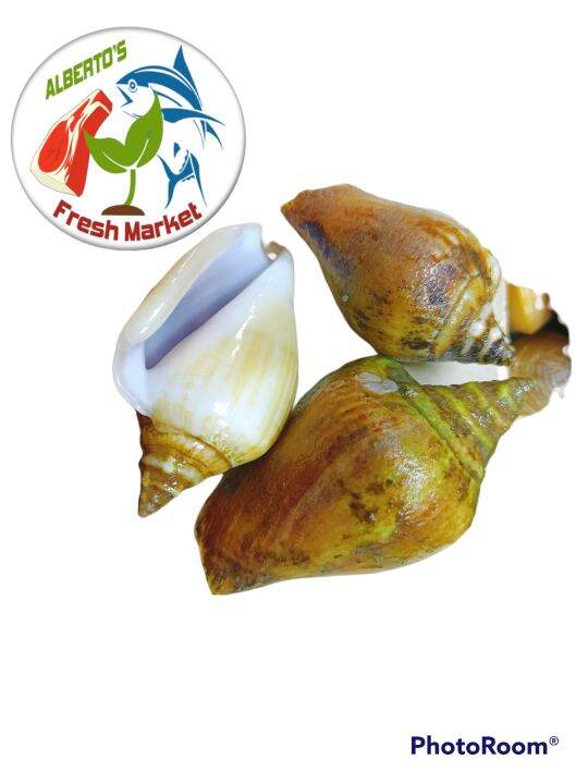 FRESH SEAFOODS BALAKWIT (SIKAD) 500g | Lazada PH