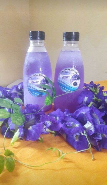 Sari Bunga Telang/minuman herbal segar | Lazada Indonesia