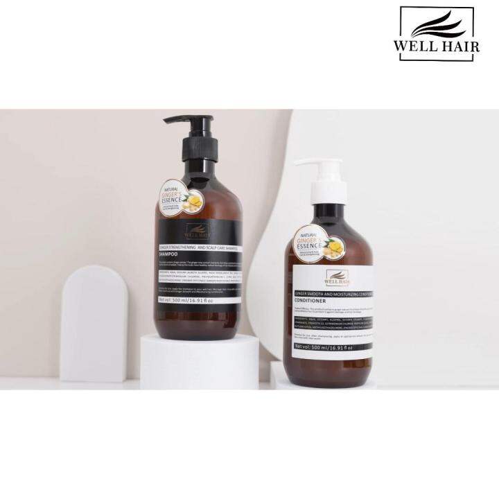 Well Hair Ginger Shampoo & Conditioner Repair Damage Dry Hair Care Wash ...