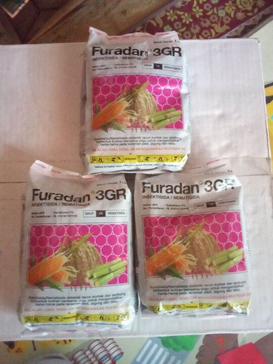 insektisida FURADAN 3GR Insektisida/NEMATISIDA kemasan 1kg | Lazada ...