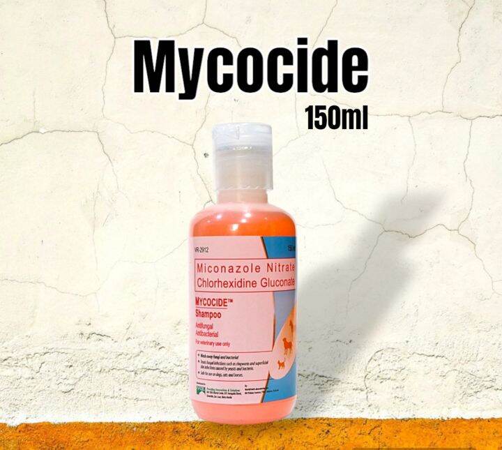 Mycocide Anti fungal Shampoo 150ml | Lazada PH