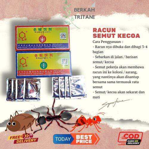 Racun Semut Racun Kecoa 5 Gram Pembasmi Koloni Semut Dan Kecoa | Lazada ...
